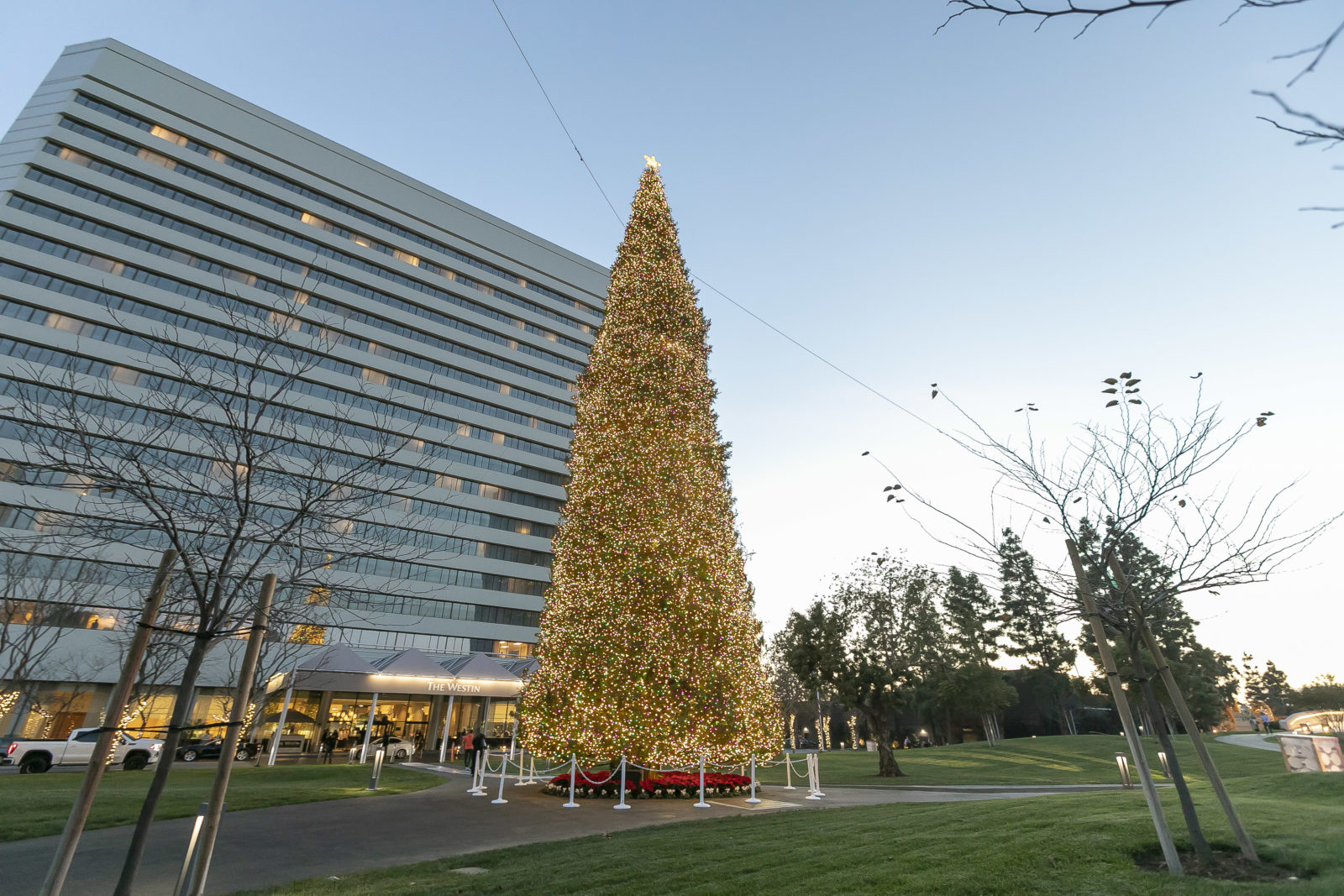 Visit Our Trio of Giant Christmas Trees – South Coast Plaza