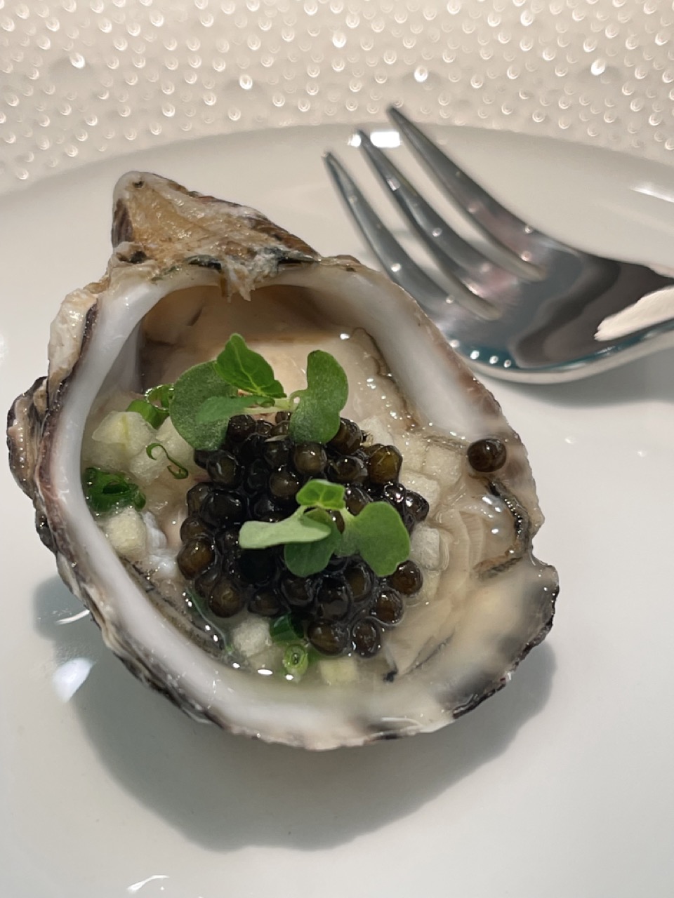 A Collection of Caviar – South Coast Plaza