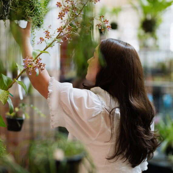 SOUTHERN CALIFORNIA’S BELOVED GARDEN SHOW RETURNS TO SOUTH COAST PLAZA ...